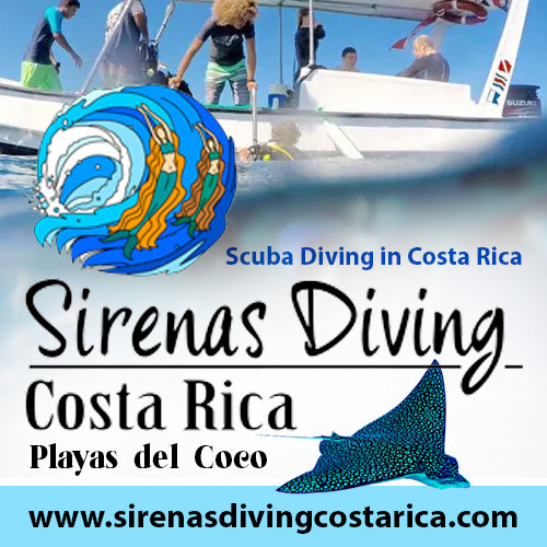 Business Directory & Classified Ads | Costa Rica