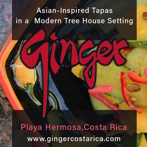 Business Directory & Classified Ads | Costa Rica